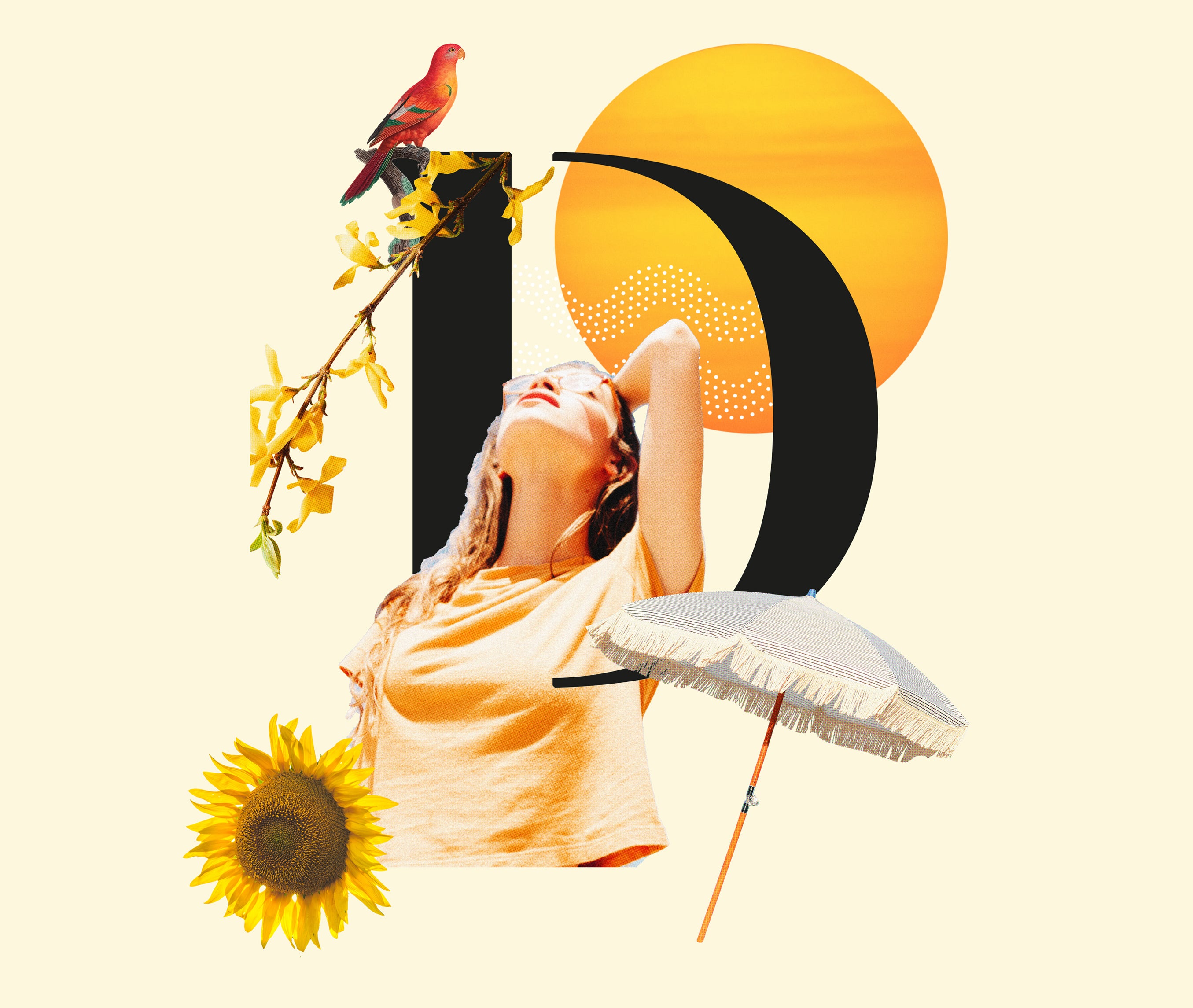 Vitamin D – Bud Nutrition