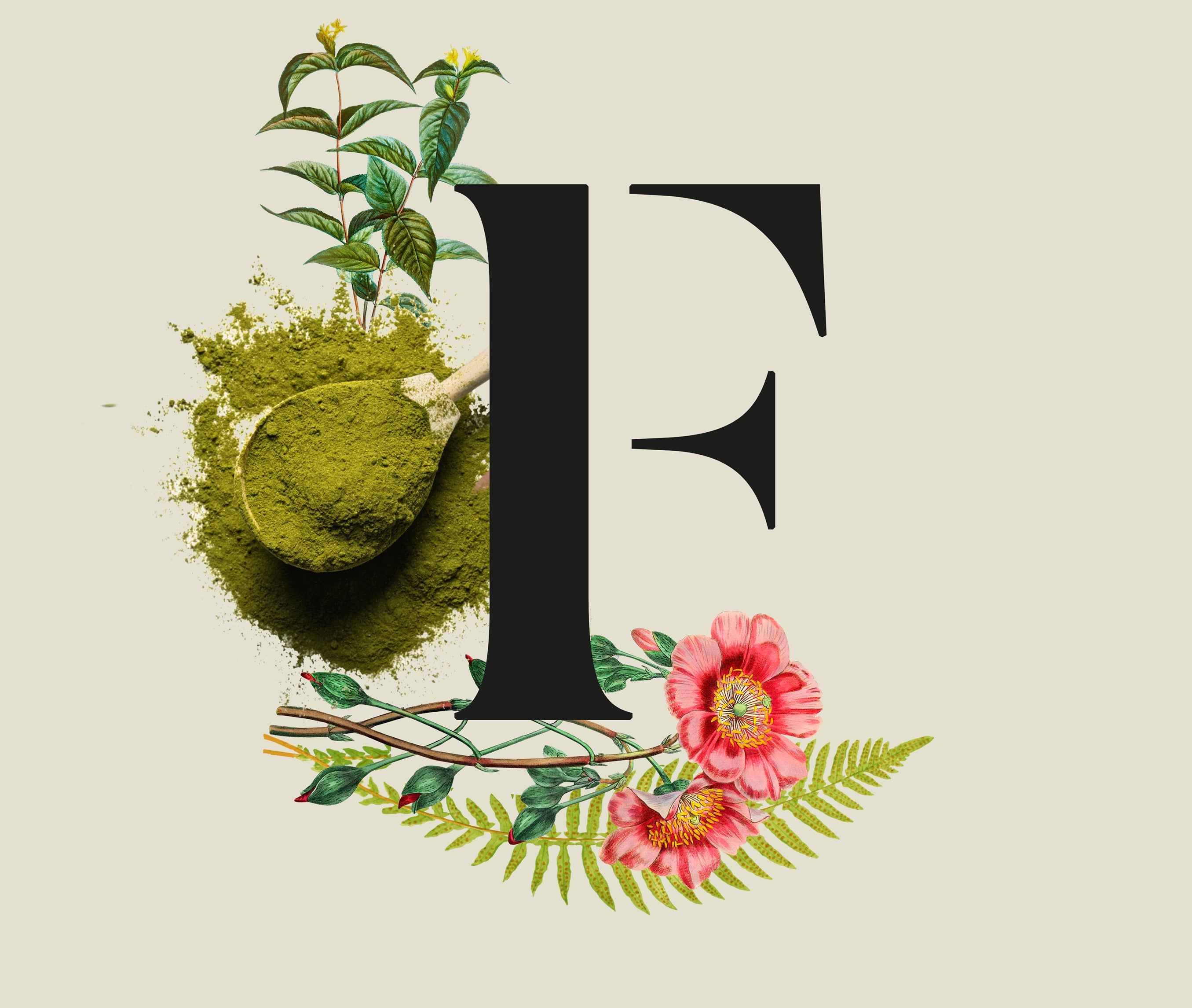 Folic Acid – Bud Nutrition